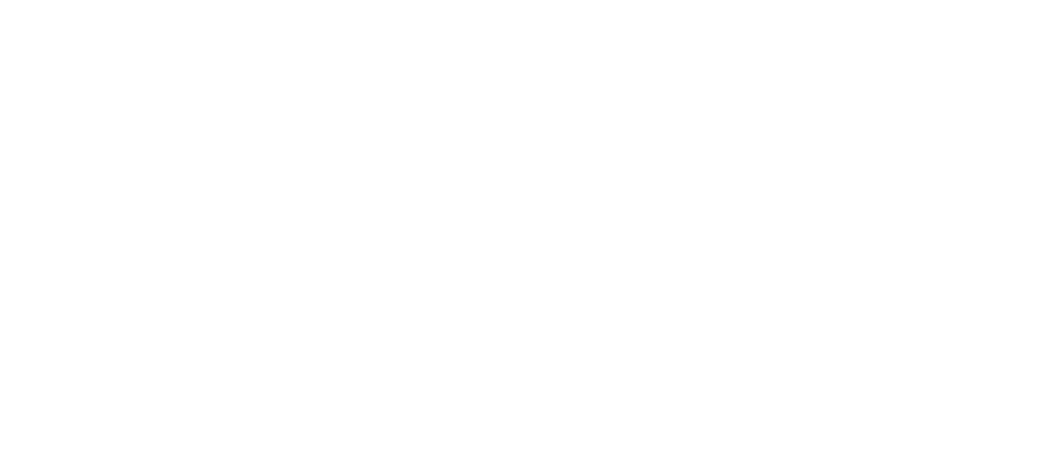 Stecci | Top 4 Common Questions About Stecci Answered